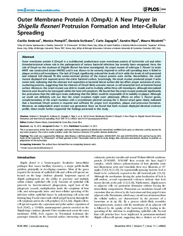 (PDF) Outer Membrane Protein A (OmpA): A New Player in Shigella ...