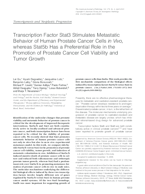 (PDF) Transcription Factor Stat3 Stimulates Metastatic Behavior of ...