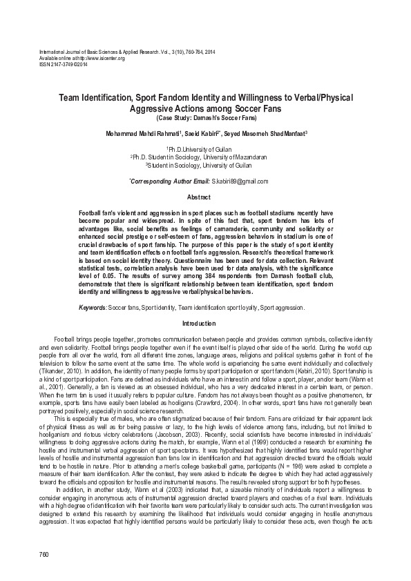 (PDF) Team Identification, Sport Fandom Identity and Willingness to ...