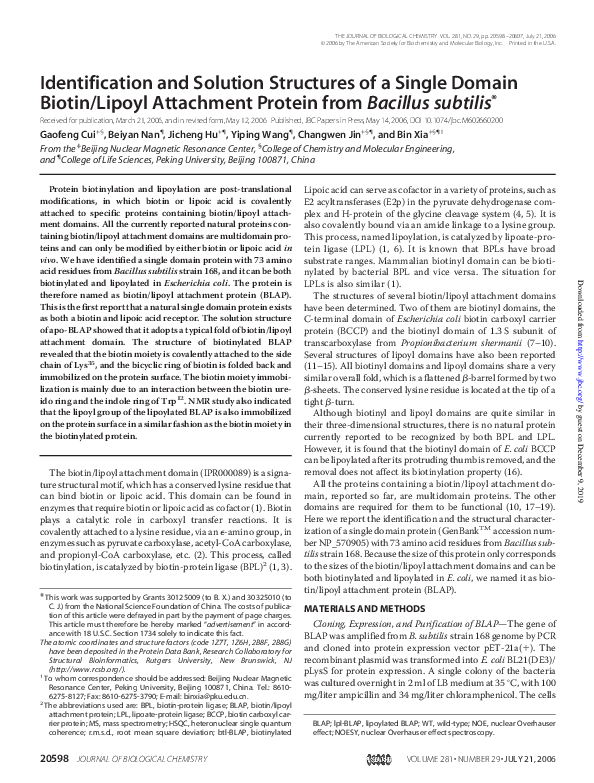(PDF) Identification and Solution Structures of a Single Domain Biotin ...