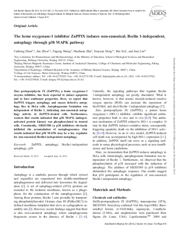 (PDF) The heme oxygenase-1 inhibitor ZnPPIX induces non-canonical ...