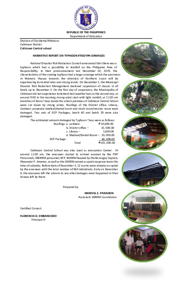 (DOC) NARRATIVE REPORT ON TYPHOON TISOY DAMAGES AT CALINTAAN CENTRAL ...