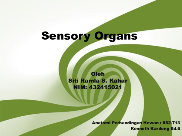 (PPT) Organ Sensori