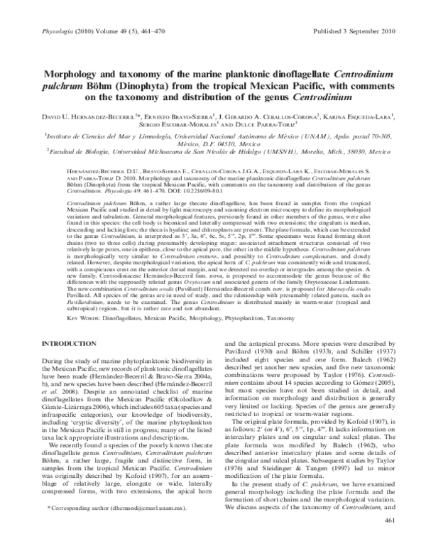 (PDF) Morphology and taxonomy of the marine planktonic dinoflagellate ...