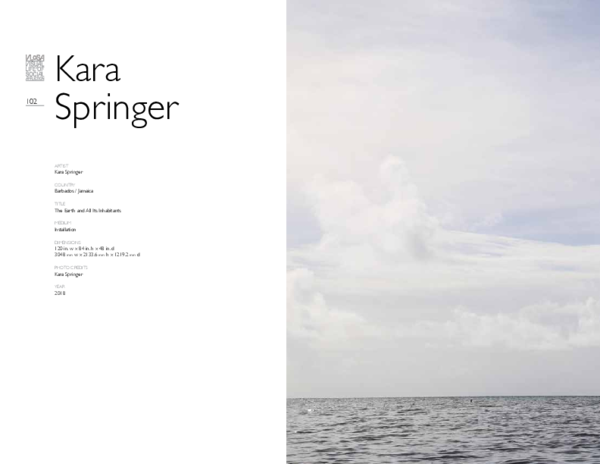 (PDF) Retinal Errantry and Spatial Precarity: Kara Springer's The Earth ...