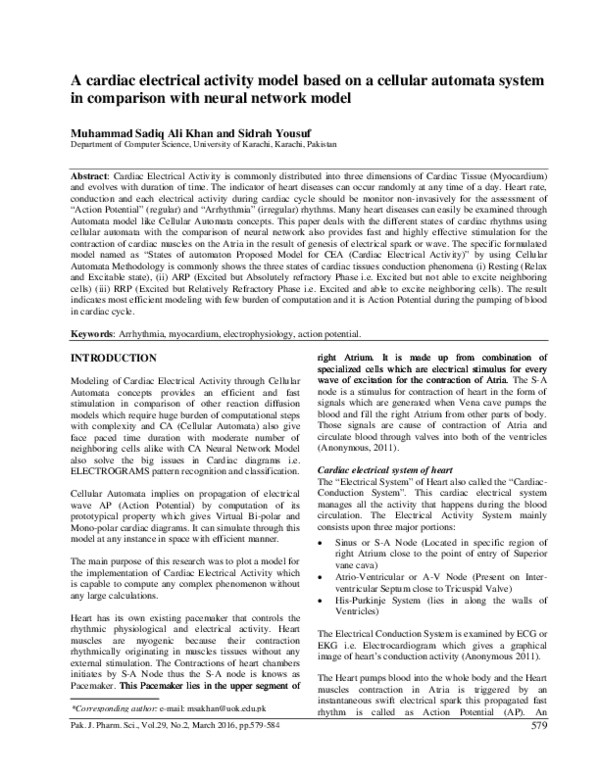 (PDF) A cardiac electrical activity model based on a cellular automata system in comparison with ...