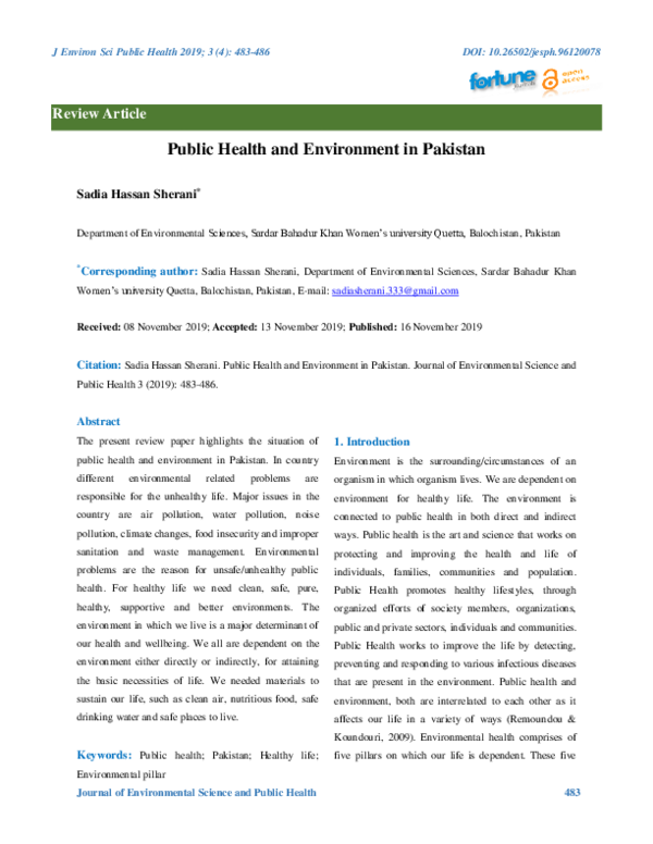 (PDF) Public Health and Environment in Pakistan