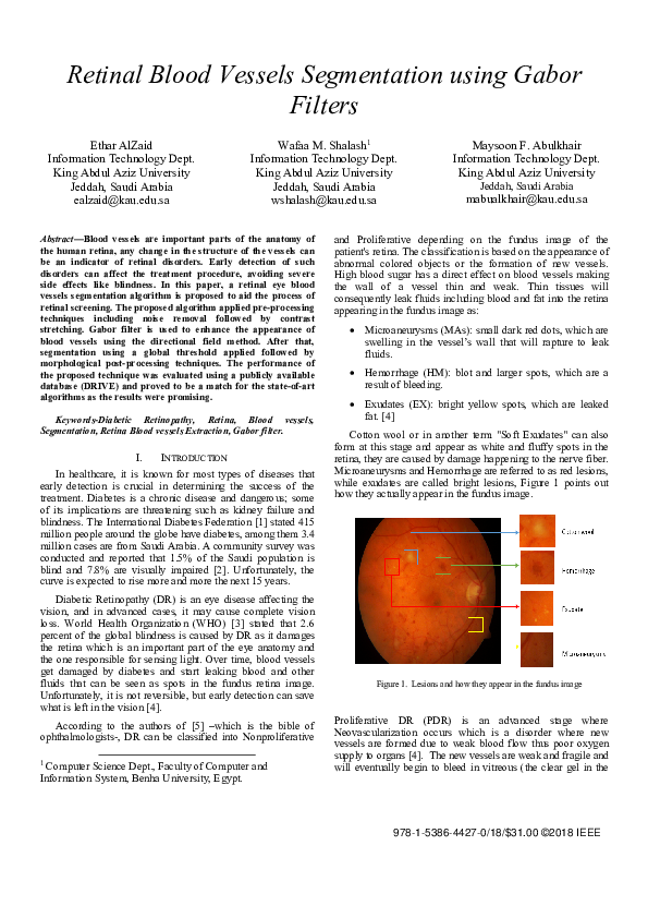 (PDF) Retinal Blood Vessels Segmentation using Gabor Filters