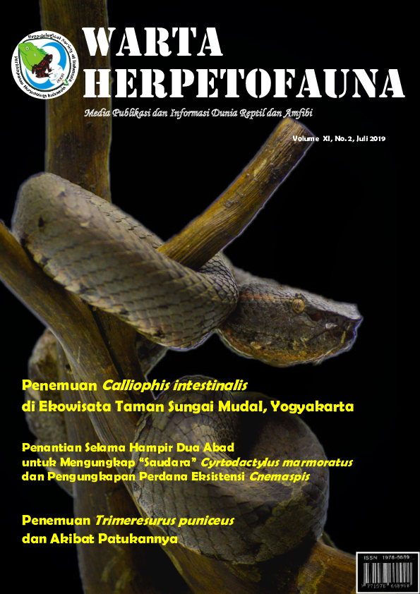 (PDF) Penjumpaan Ular Cabe Calliophis intestinalis di Area Ekowisata ...