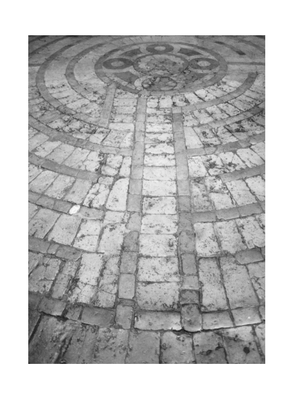 (PDF) 2019. Il misterioso labirinto nella sala del Tesoro in Castel ...