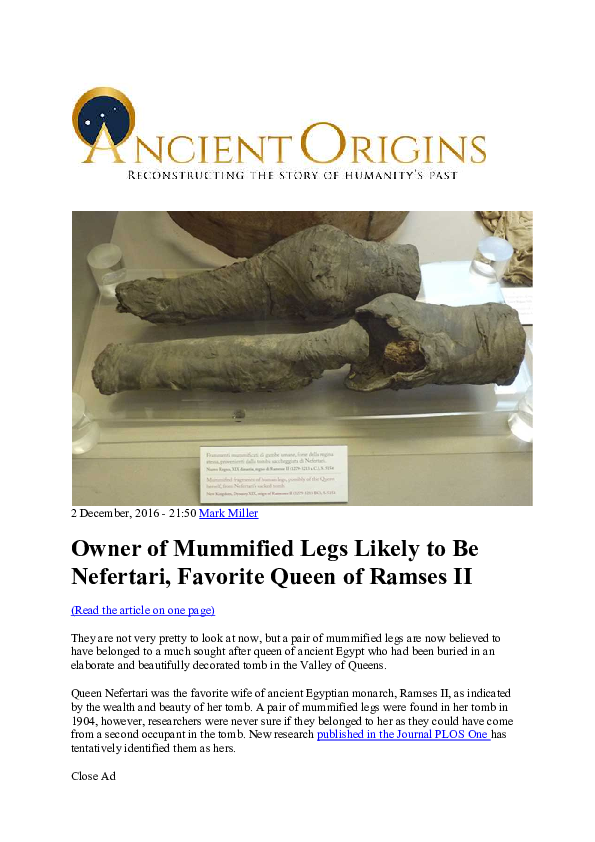 (PDF) Ancient Origins: Owner of Mummified Legs Likely to Be Nefertari ...