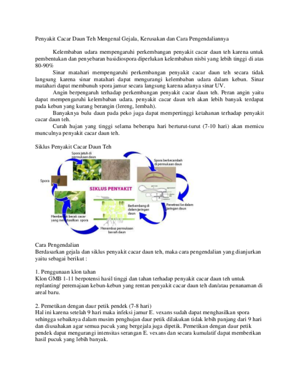 (DOC) Poster penyakit cacar teh