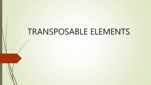 (PDF) TRANSPOSABLE ELEMENTS