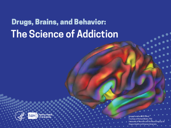 (PDF) The Science of Addiction