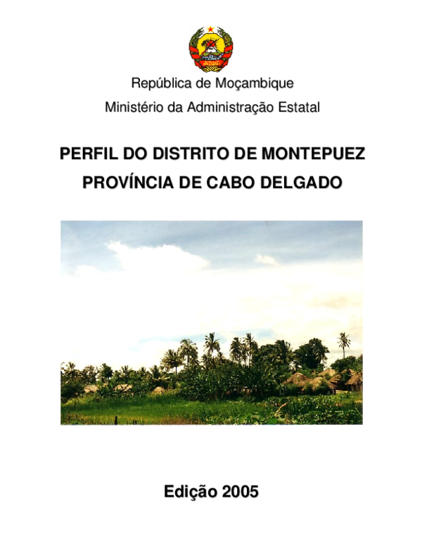 (PDF) Edi Ediç ção 2005 ão 2005 PERFIL DO DISTRITO DE PERFIL DO ...
