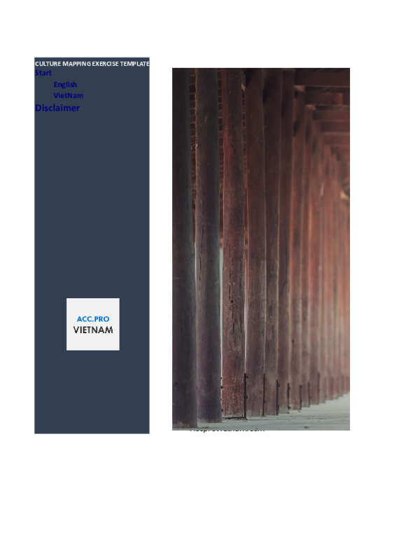 (XLS) Culture Mapping Exercise Template