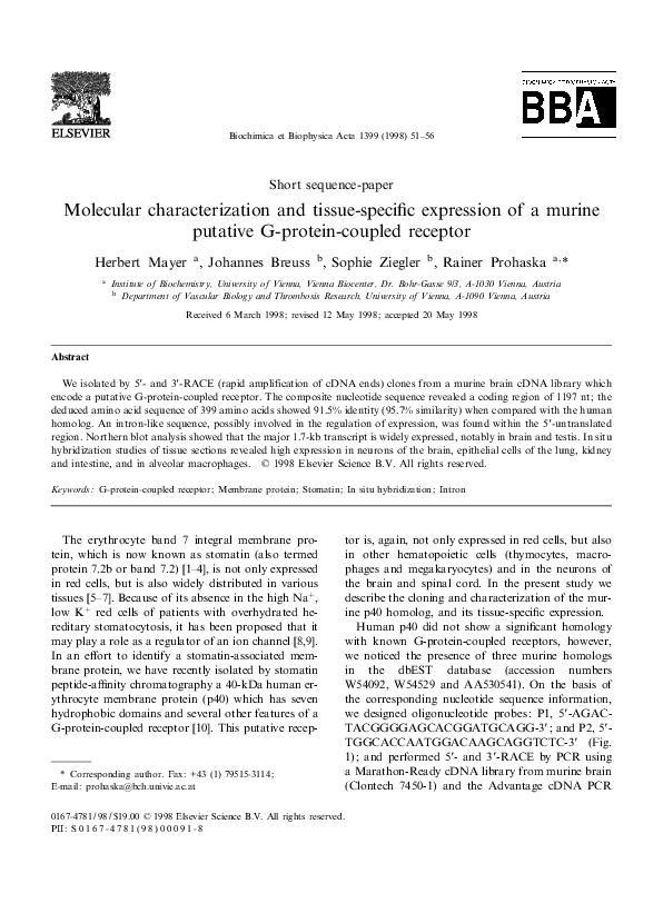 Molecular characterization and tissue-specific expression of a murine ...