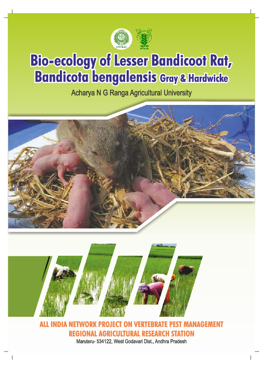 (PDF) Bio-ecology of lesser bandicoot rat, Bandicota bengalensis