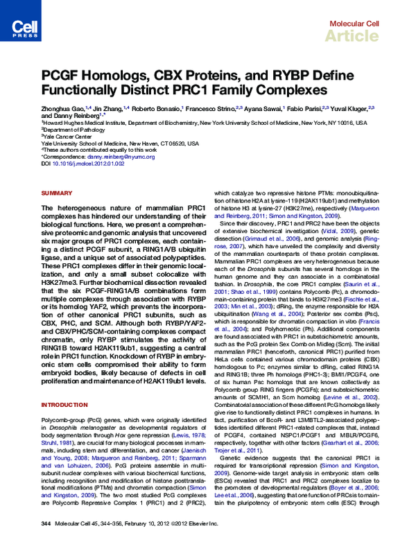 (PDF) Molecular Cell Article PCGF Homologs, CBX Proteins, and RYBP ...