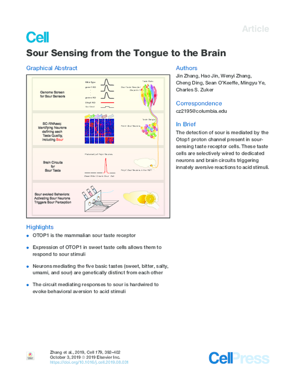 (PDF) Sour Sensing from the Tongue to the Brain