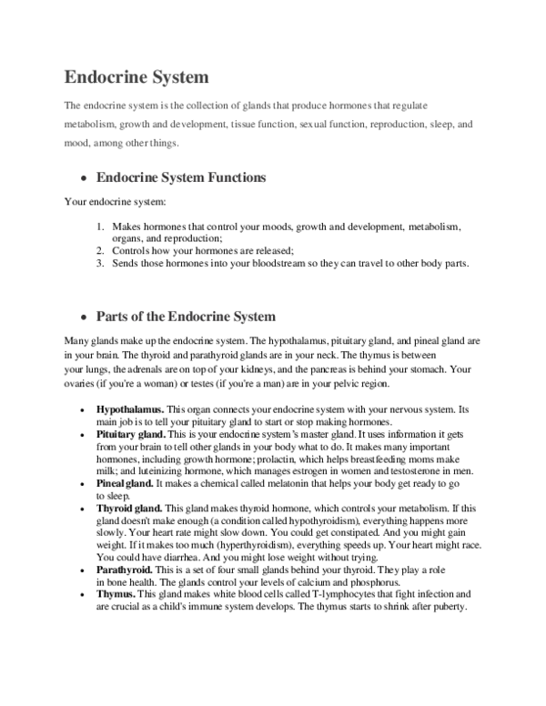(DOC) Endocrine System