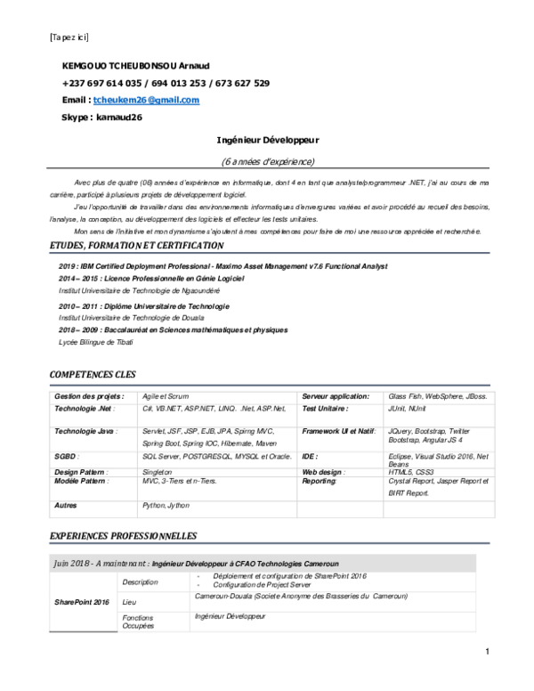 ICT Analyste - Programmeur (h/f) Designer fonctionnel, Functional