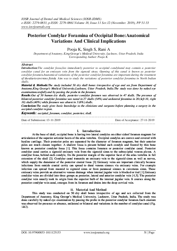 (PDF) Posterior Condylar Foramina of Occipital Bone:Anatomical ...