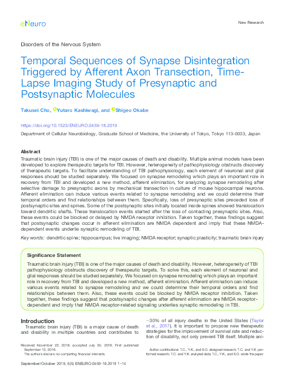 (PDF) Temporal Sequences of Synapse Disintegration Triggered by ...