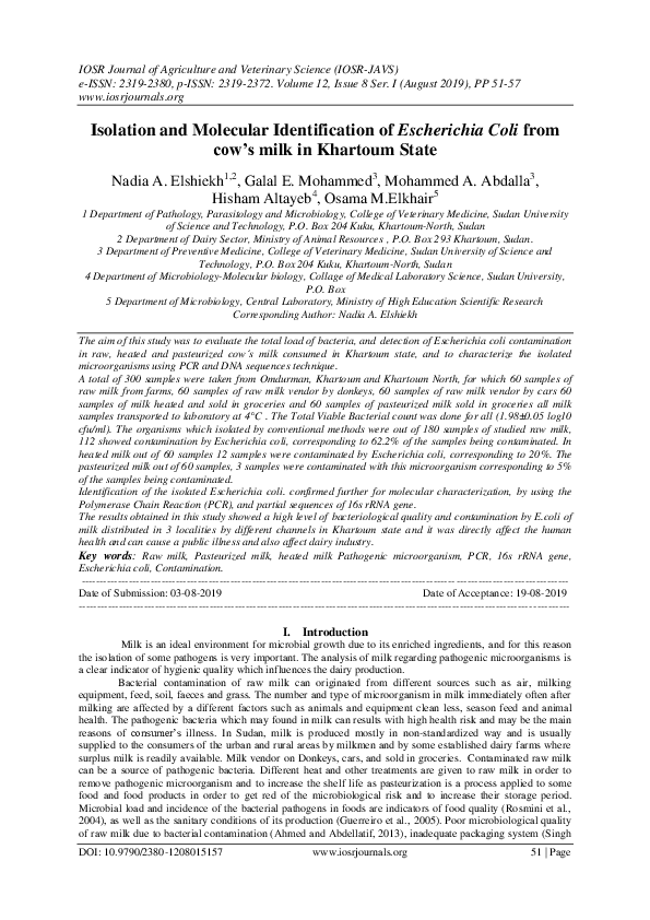 (PDF) Isolation and Molecular Identification of Escherichia Coli from ...