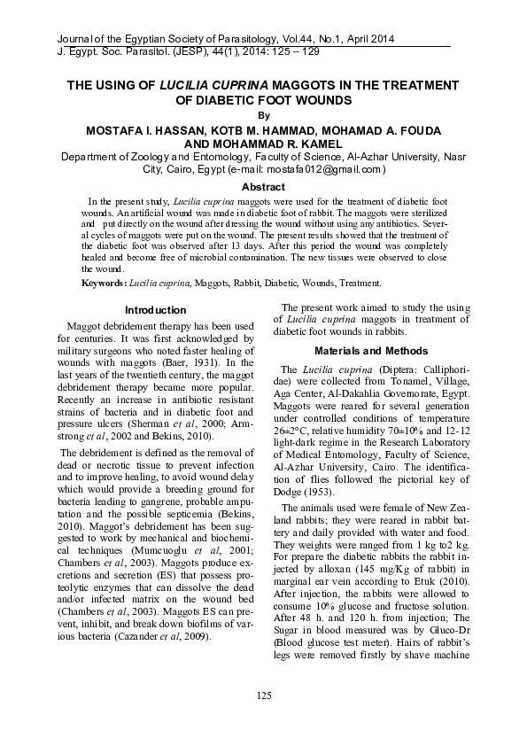 (PDF) THE USING OF LUCILIA CUPRINA MAGGOTS IN THE TREATMENT OF DIABETIC ...