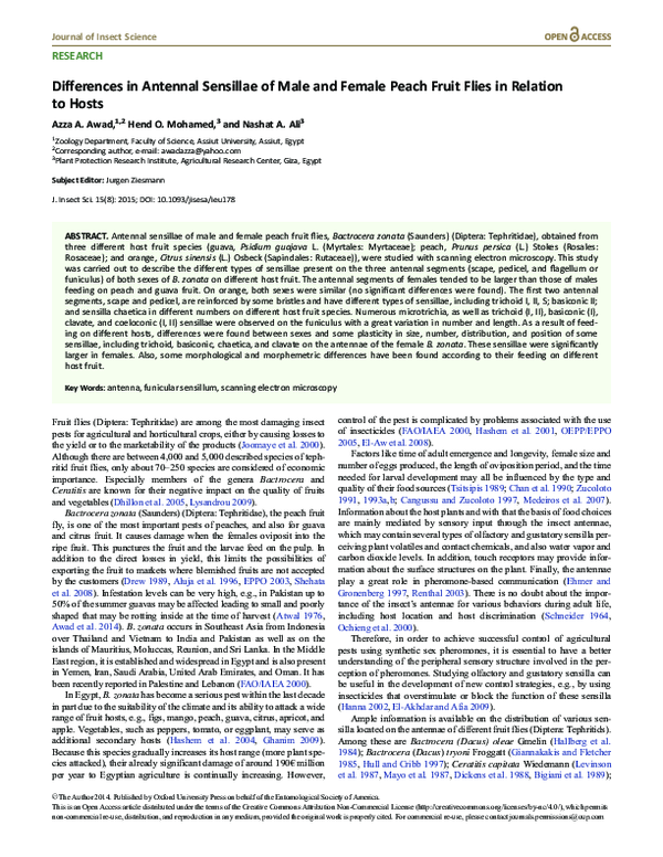 (PDF) Sexual and Host-Related Variations in Antennal Sensillae of Peach ...