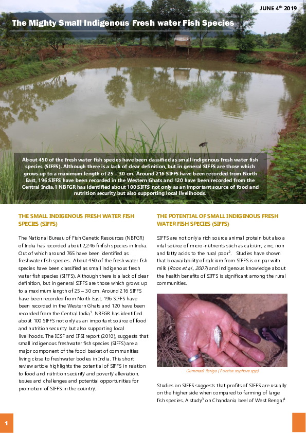 (PDF) THE SMALL INDIGENOUS FRESH WATER FISH SPECIES (SIFFS