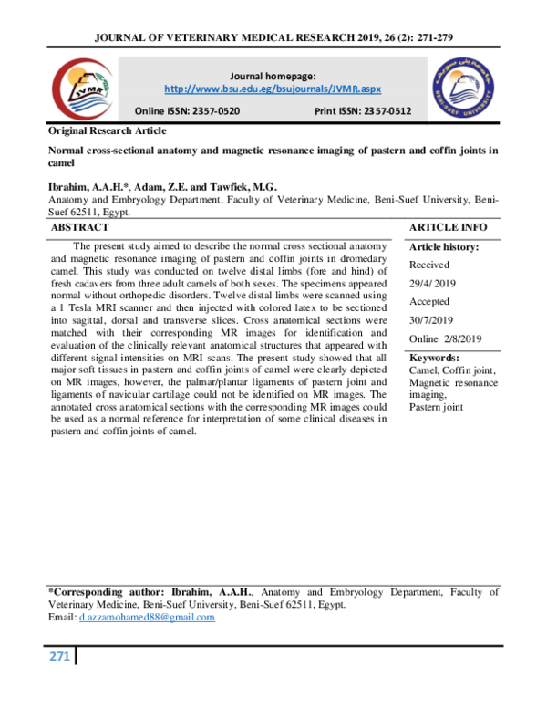 (PDF) Normal cross-sectional anatomy and magnetic resonance imaging of ...