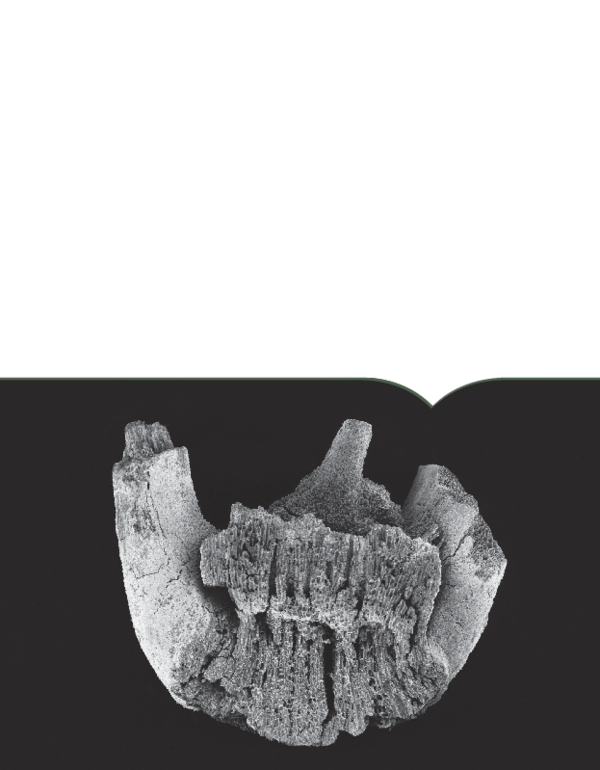 (PDF) The archaeology and paleoenvironment of the submerged Pottery ...
