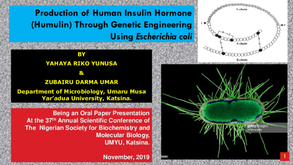 (PPT) Production of Human Insulin Hormone (Humulin) through Genetic ...