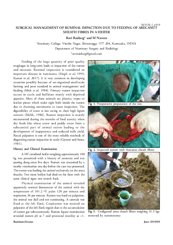 (PDF) SURGICAL MANAGEMENT OF RUMINAL IMPACTION DUE TO FEEDING OF ...