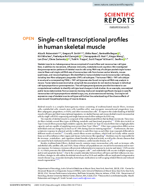 (PDF) Single-cell transcriptional profiles in human skeletal muscle