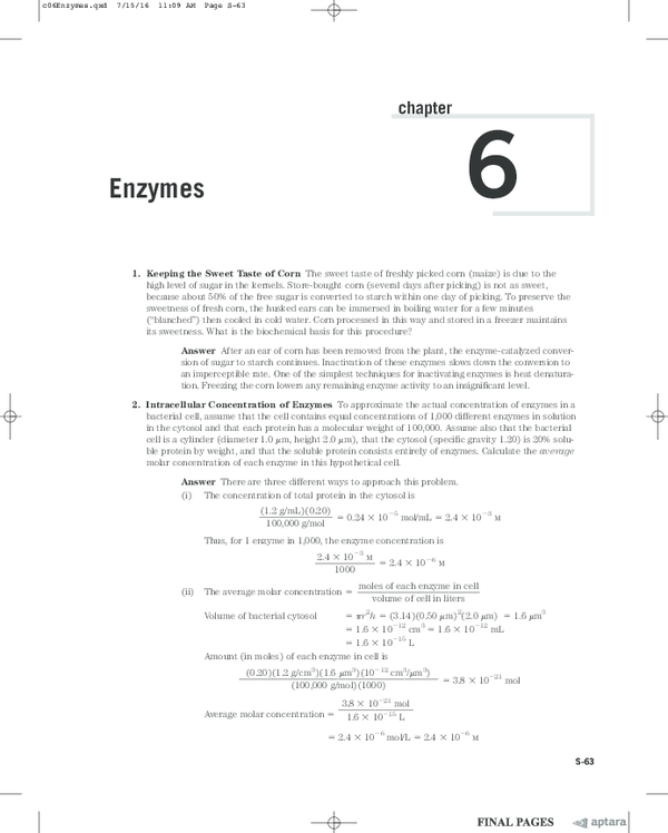 Enzymes Worksheet Ch. 6 Section 2 Answer Key