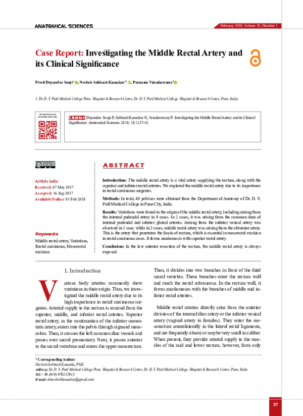 (PDF) Investigating the Middle Rectal Artery and its Clinical Significance