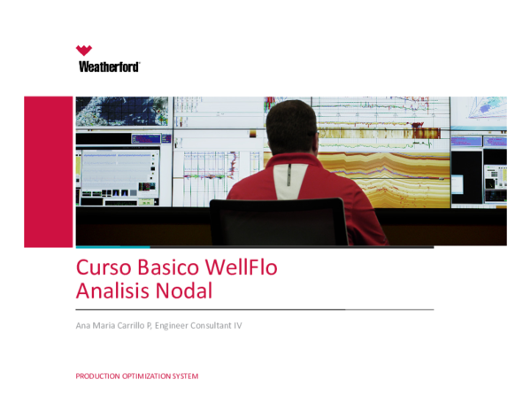 (PDF) Curso Basico WellFlo Analisis Nodal