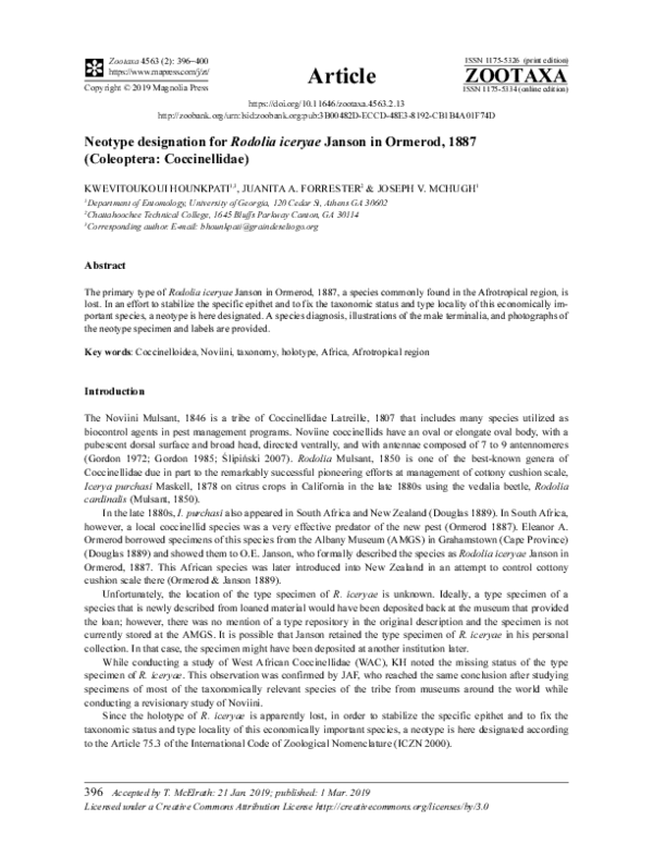 (PDF) Neotype designation for Rodolia iceryae Janson in Ormerod, 1887 ...