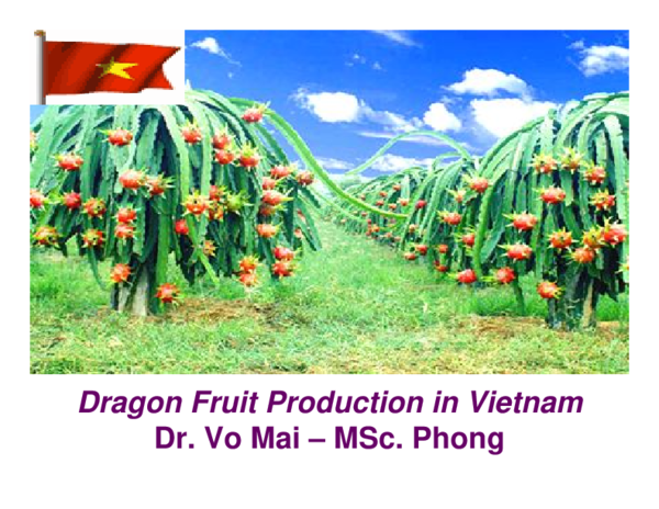 (PDF) Dragon Fruit Production in Vietnam