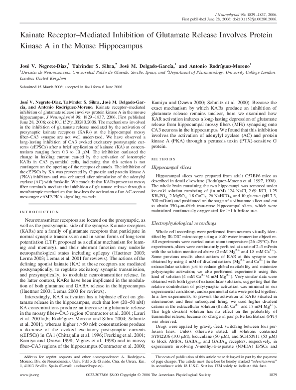 (PDF) Kainate Receptor-Mediated Inhibition of Glutamate Release ...