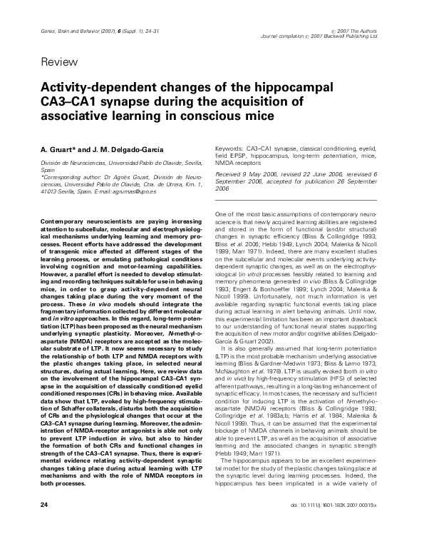(PDF) Activity-dependent changes of the hippocampal CA3-CA1 synapse during the acquisition of ...