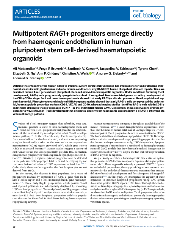 (PDF) Multipotent RAG1+ progenitors emerge directly from haemogenic ...