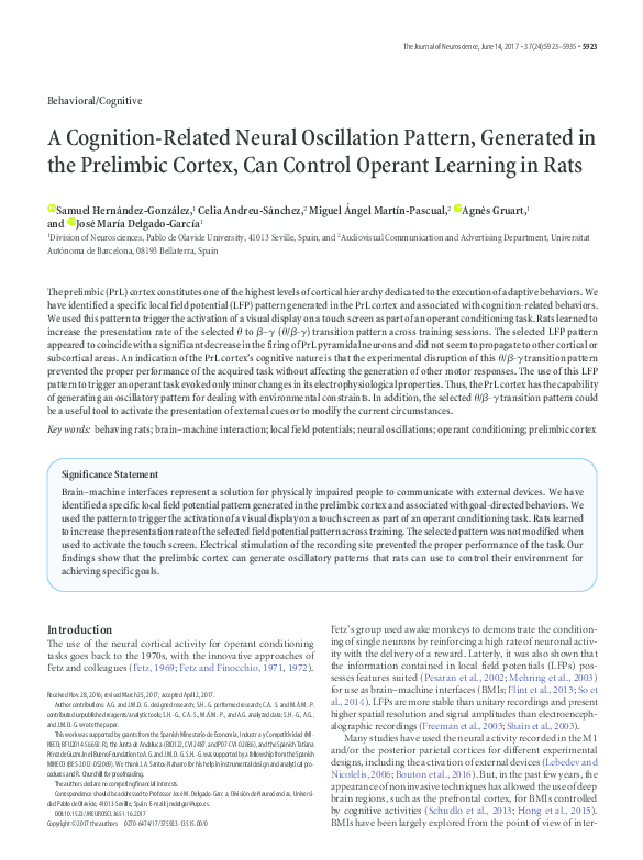Pdf A Cognition Related Neural Oscillation Pattern Generated In The