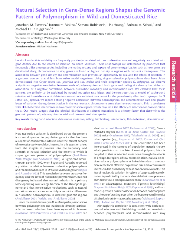 (PDF) Natural selection in gene-dense regions shapes the genomic ...