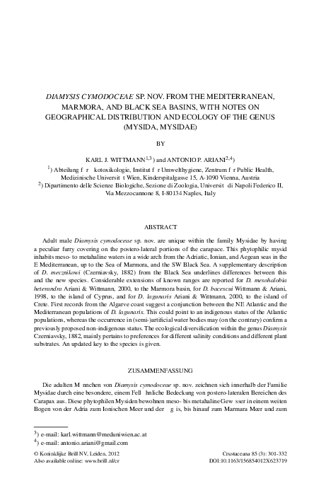 (PDF) DIAMYSIS CYMODOCEAE SP. NOV. FROM THE MEDITERRANEAN, MARMORA, AND ...