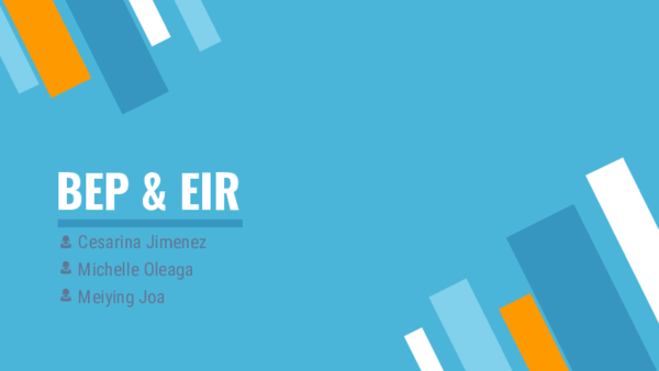 (PPT) BEP y EIR