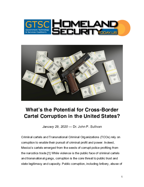 (PDF) What's the Potential for Cross-Border Cartel Corruption in the ...